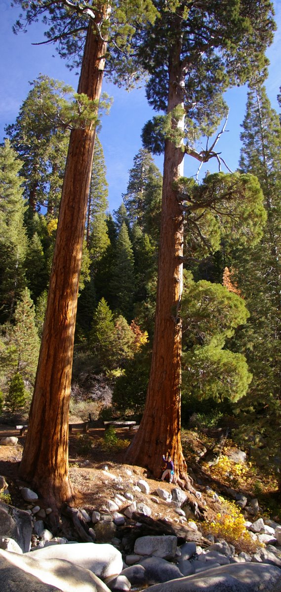 Look, Mom, We're Camping!: Mountain Home State Forest: November 2010