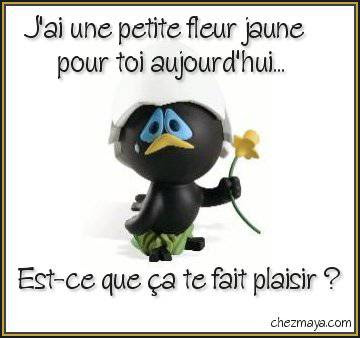 NO LIMIT: Je suis désolée