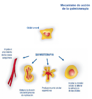 LA QUIMIOTERAPIA Y SUS PRINCIPALES EFECTOS SECUNDARIOS