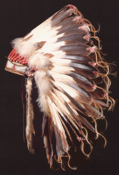 E A R T H・A G E : war bonnet