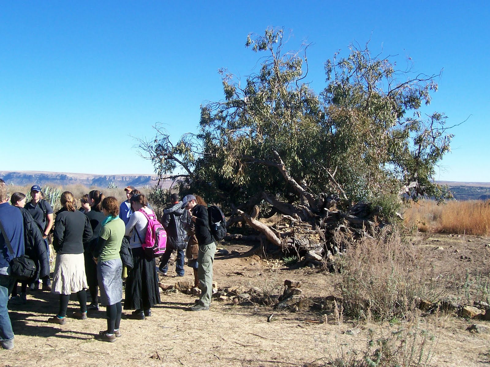 Poetic Reflections: Thaba Bosiu with CHED 10