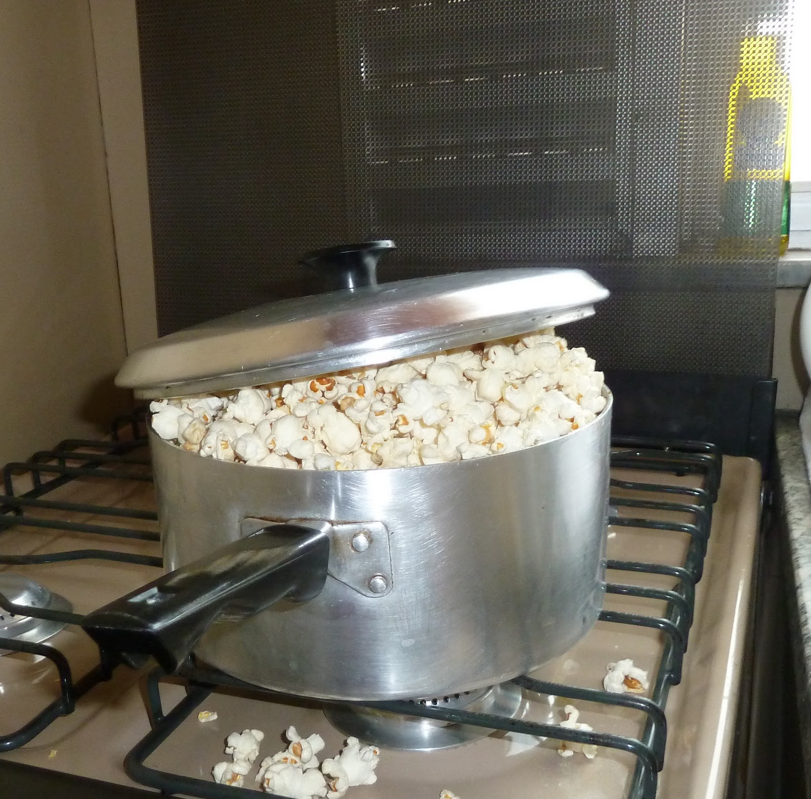 Life of a Roadwife: Stove Top Popcorn