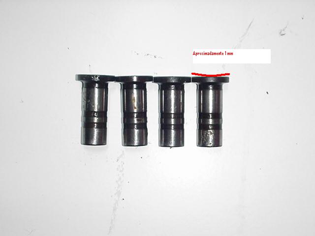 daniel diesel: taques