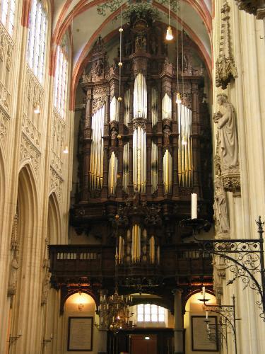 Jan Organ's Instagram, Twitter & Facebook on IDCrawl