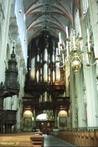 Jan Organ's Instagram, Twitter & Facebook on IDCrawl