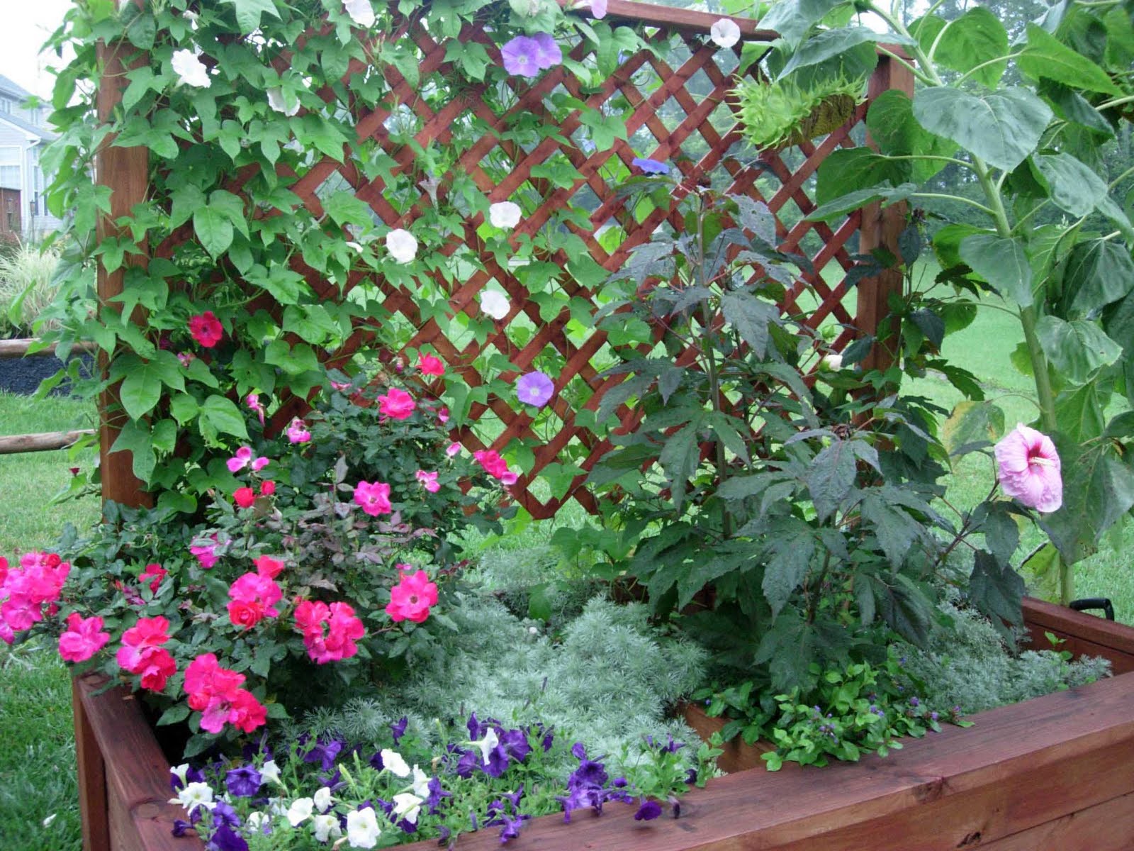 Bear, Dolly and Moi: building garden structures