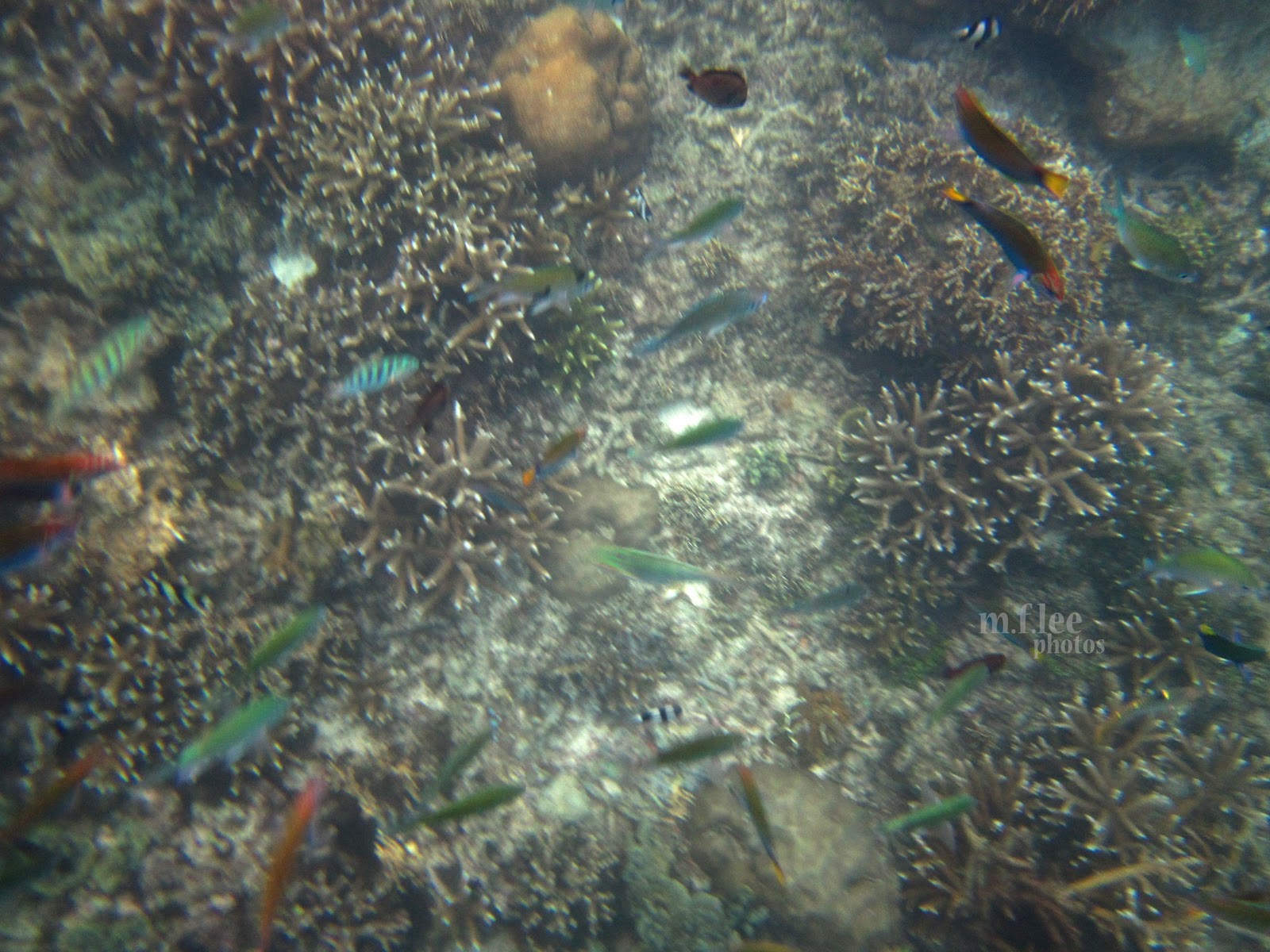 Here and There -- Everywhere!: Boracay Budget Trip: Day 3