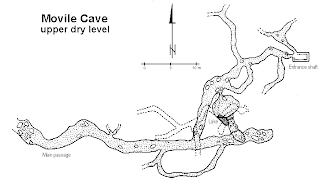 Speculative Evolution -> The Future of Movile Cave