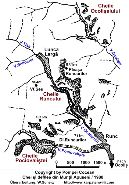 Runcu Gorges | True Romania