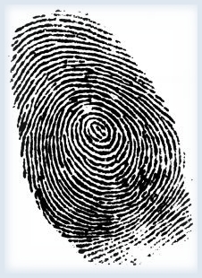 Saxfacts: A Place for Discovery for Those Who Dare to Be in the Know ...