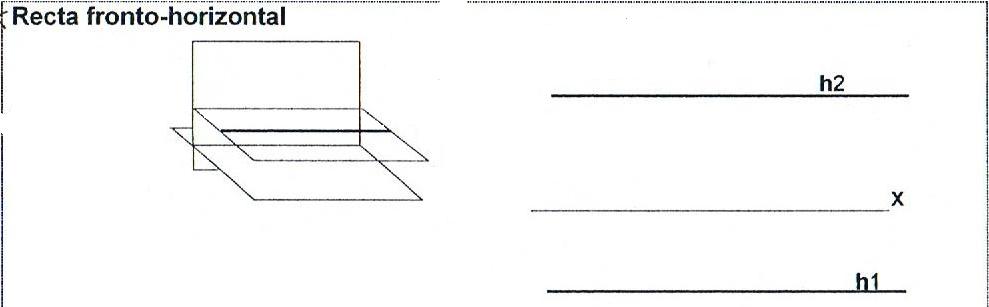 Dimensão Geométrica: A recta
