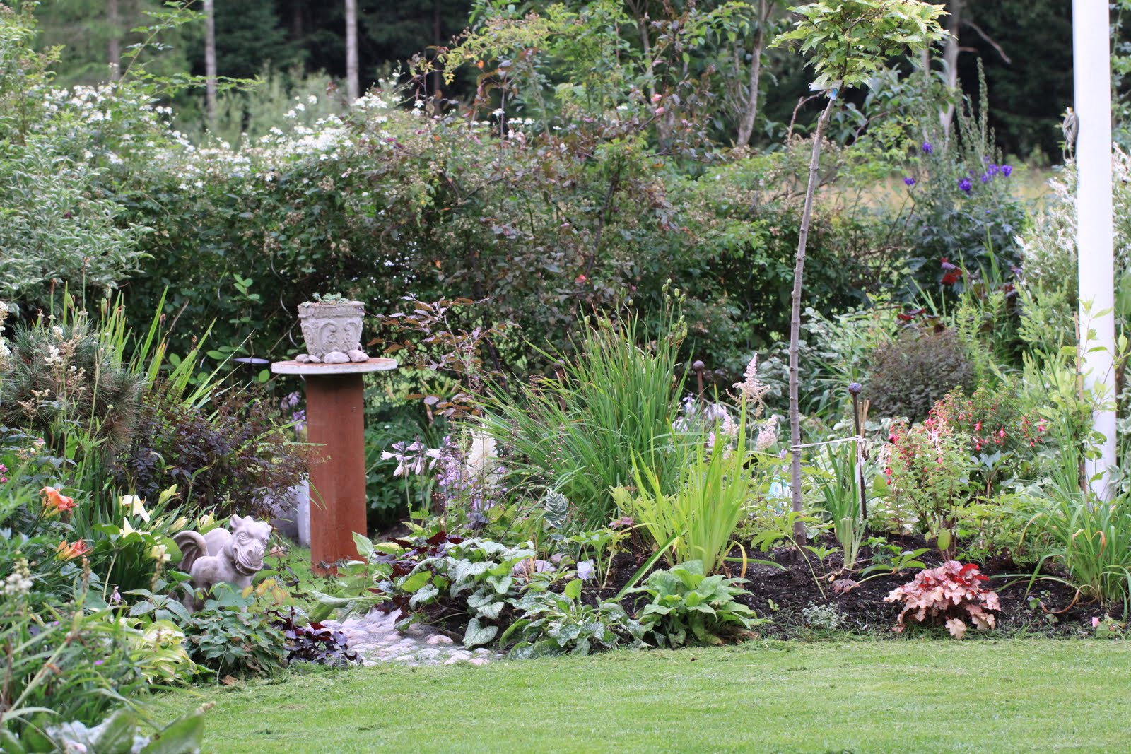 Trädgård ... drakar och lite annat!: Den nya rabatten vi gjorde i våras ...