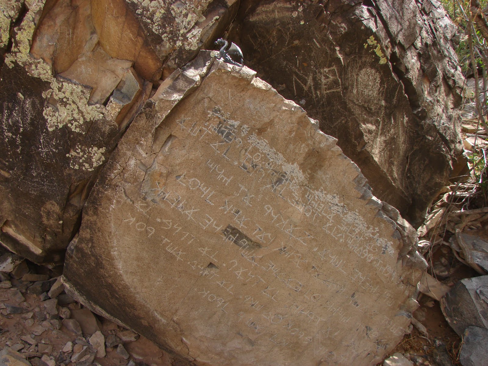 Mama Dragon: Los Lunas "Mystery Stone" Explored