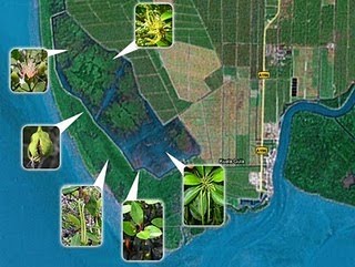 Kuala Gula Ecotourism: Kuala Gula Tempat Pelancongan Menarik