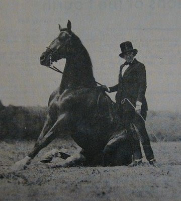 Rich Hill Missouri History: Miller Rodeo-a Family Affair
