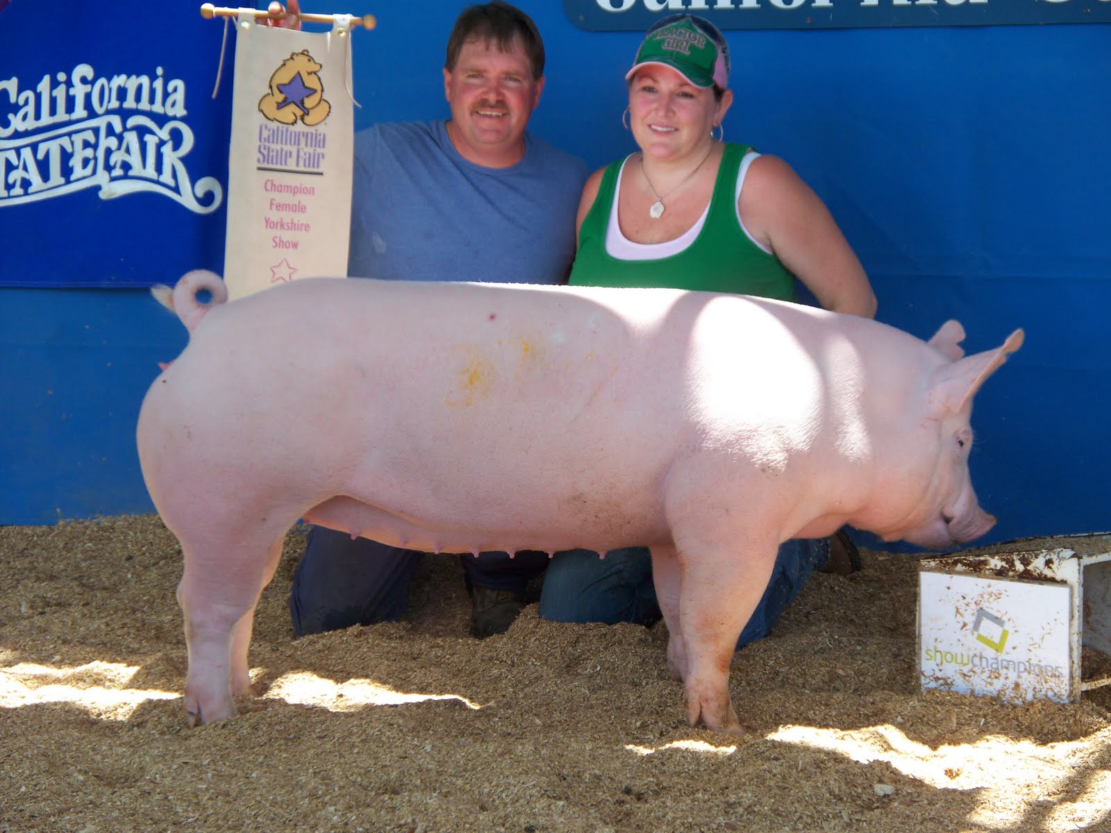 National Swine Registry: California State Fair Yorks and Durocs
