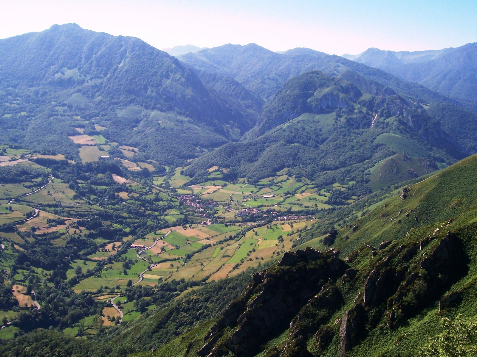 biodiversidad: teapa