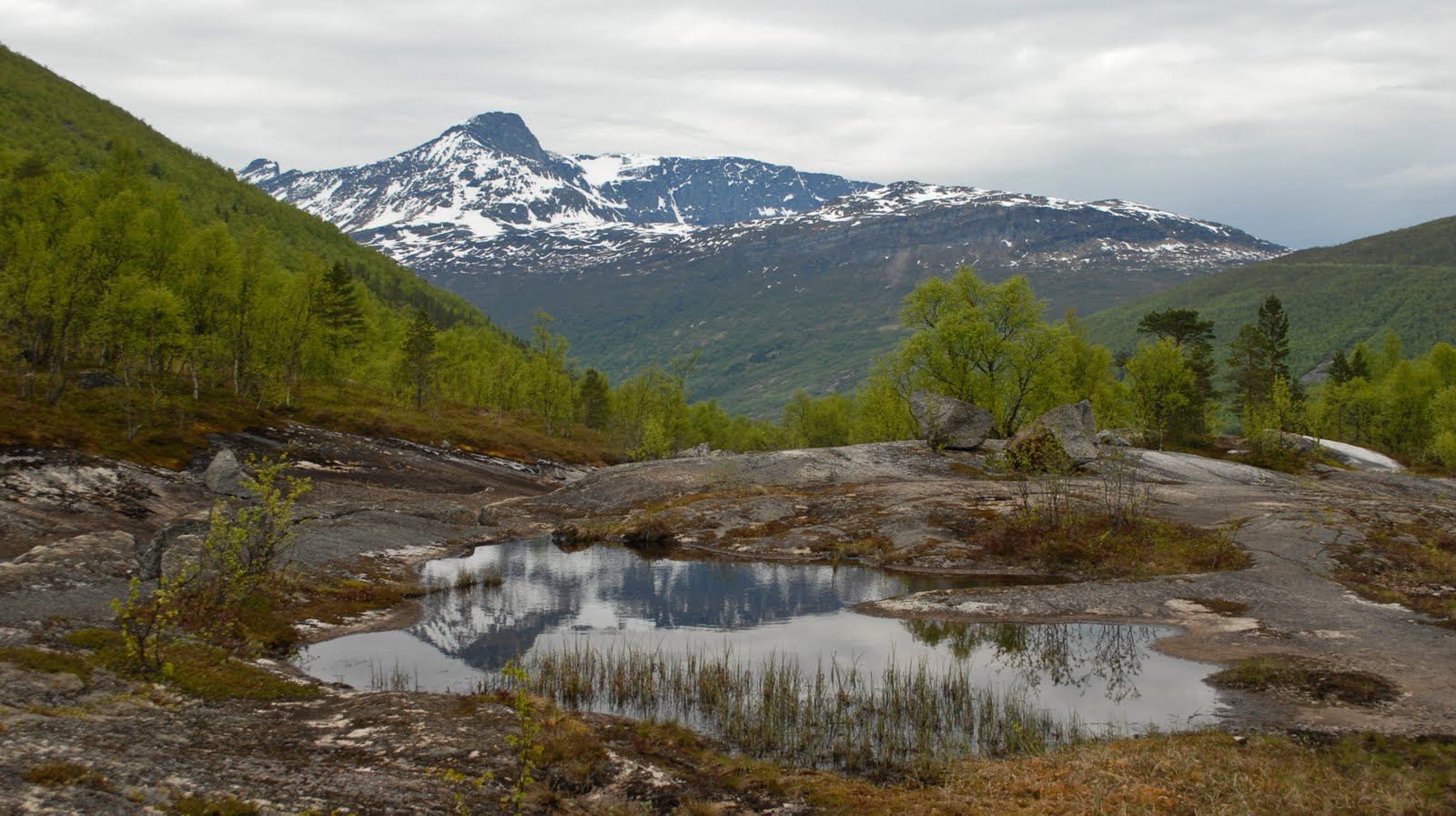 Polo In Norway ... and New Zealand: Ballade de la fin de semaine ...