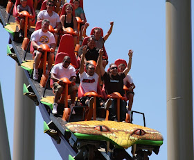 Diamondback Roller Coaster Seats