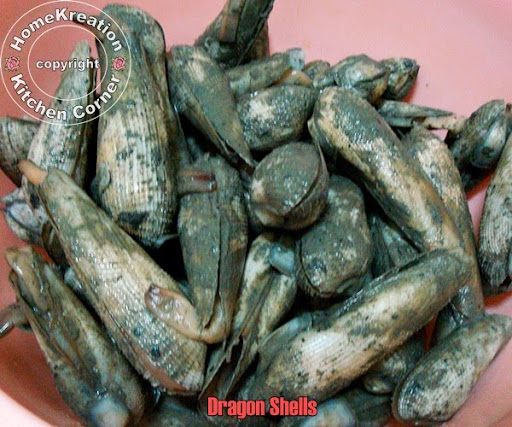 Michelle: Dragon Shells