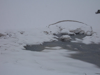 where the world lies: chander nahan