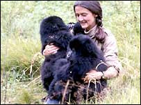 Dian Fossey As a Zoologist
