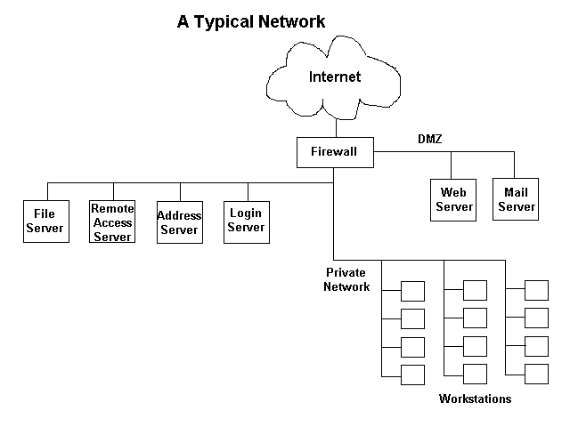 Basic Knowledge of Computer: What is a Network