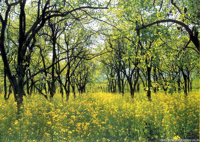Amazing And Beautiful Places In Pakistan |Jugno World