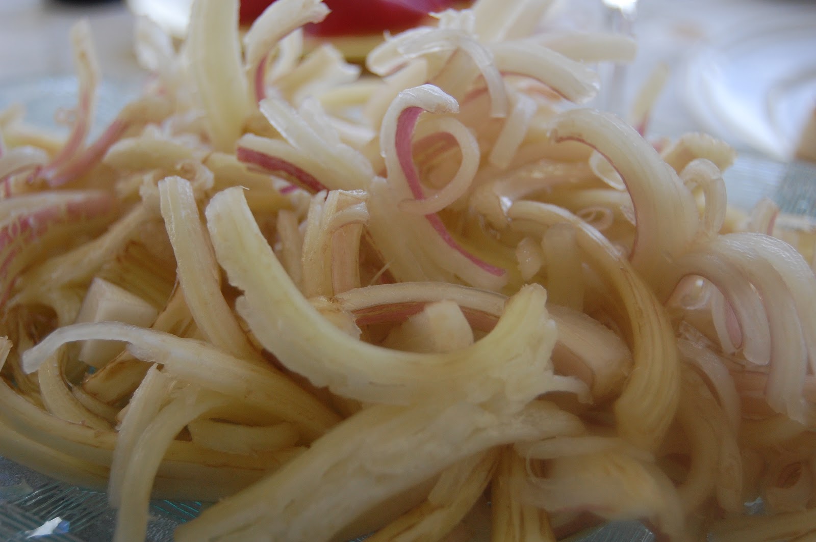 La Alacena de Charo Val: ÀGREDA GASTRONÓMICA//CARDO ROJO DE ÁGREDA//LA ...