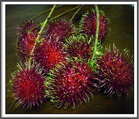 A Great place to start..~ ~: Seedless Rambutan