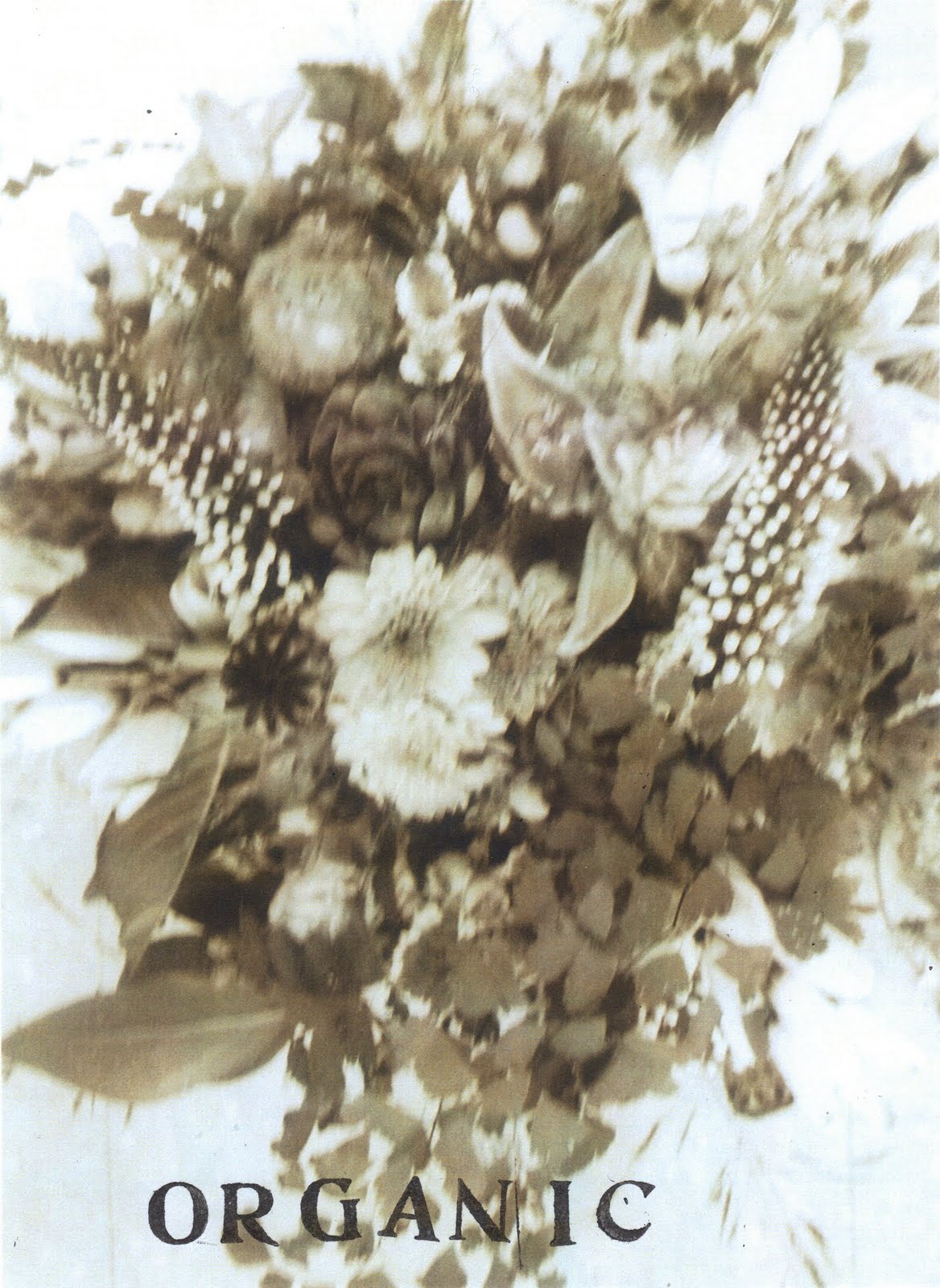 Jewel Box: Life In Sepia Tones