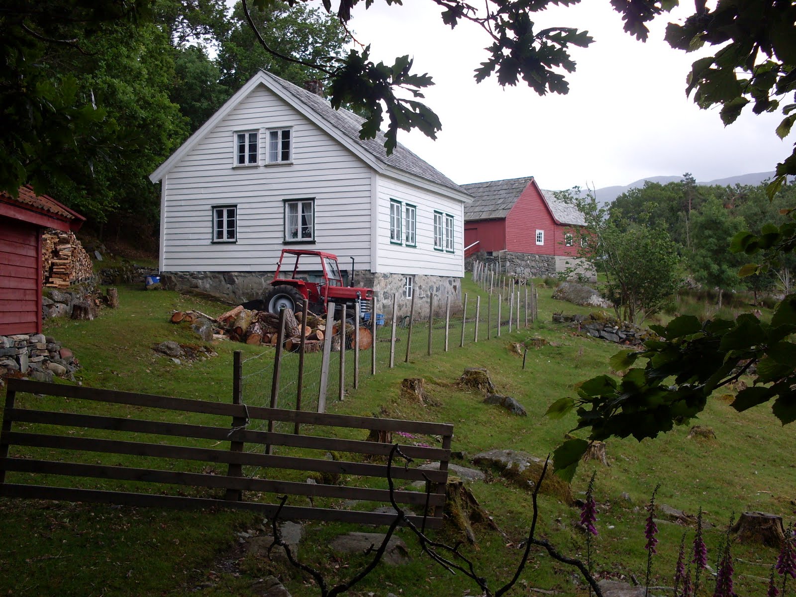 Sailing the Fjords: Romsa islands