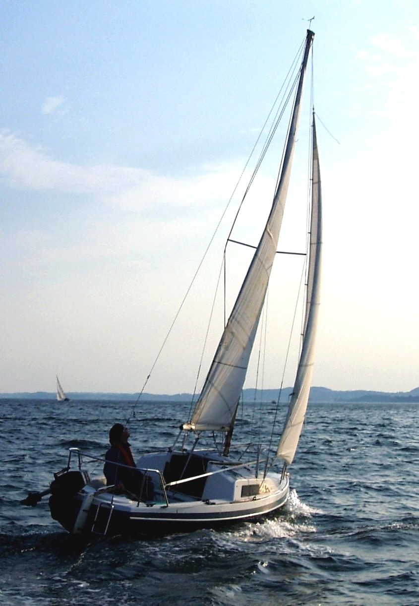 Sailing the Fjords: Passing boats