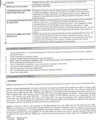 Matthew's Dyslexic Experiences in the Educational System (A Diary ...