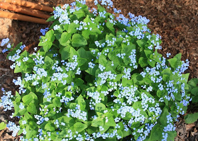 Mutiny In the Garden: April 2010