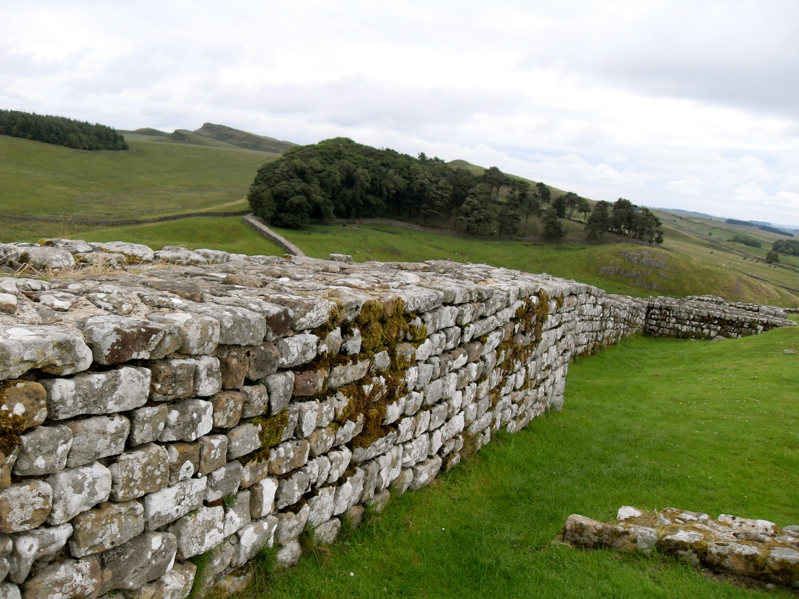 [TMP] "Affordable stone walls for English terrain" Topic