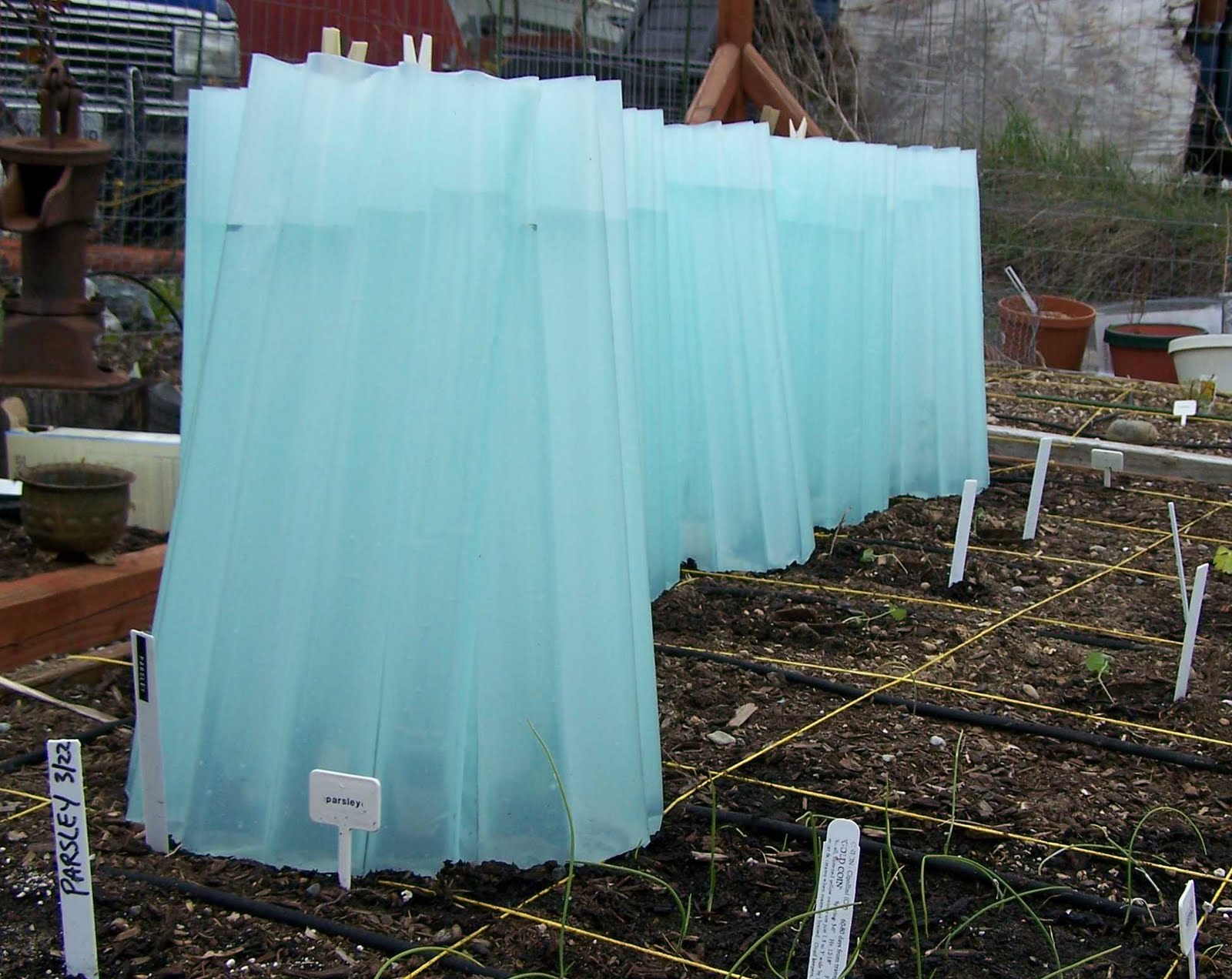 KeeWee's Garden: Walls O Water