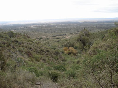 TierrasyCampos: Ambul, Córdoba