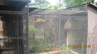 RAS Avichat: Getting Started by building your first aviary