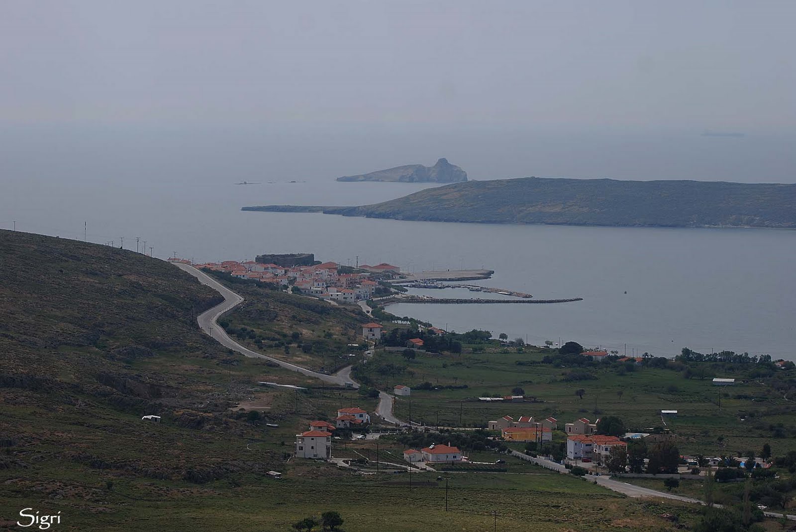 Wren's Nature Notebook: Birding on the way to Sigri