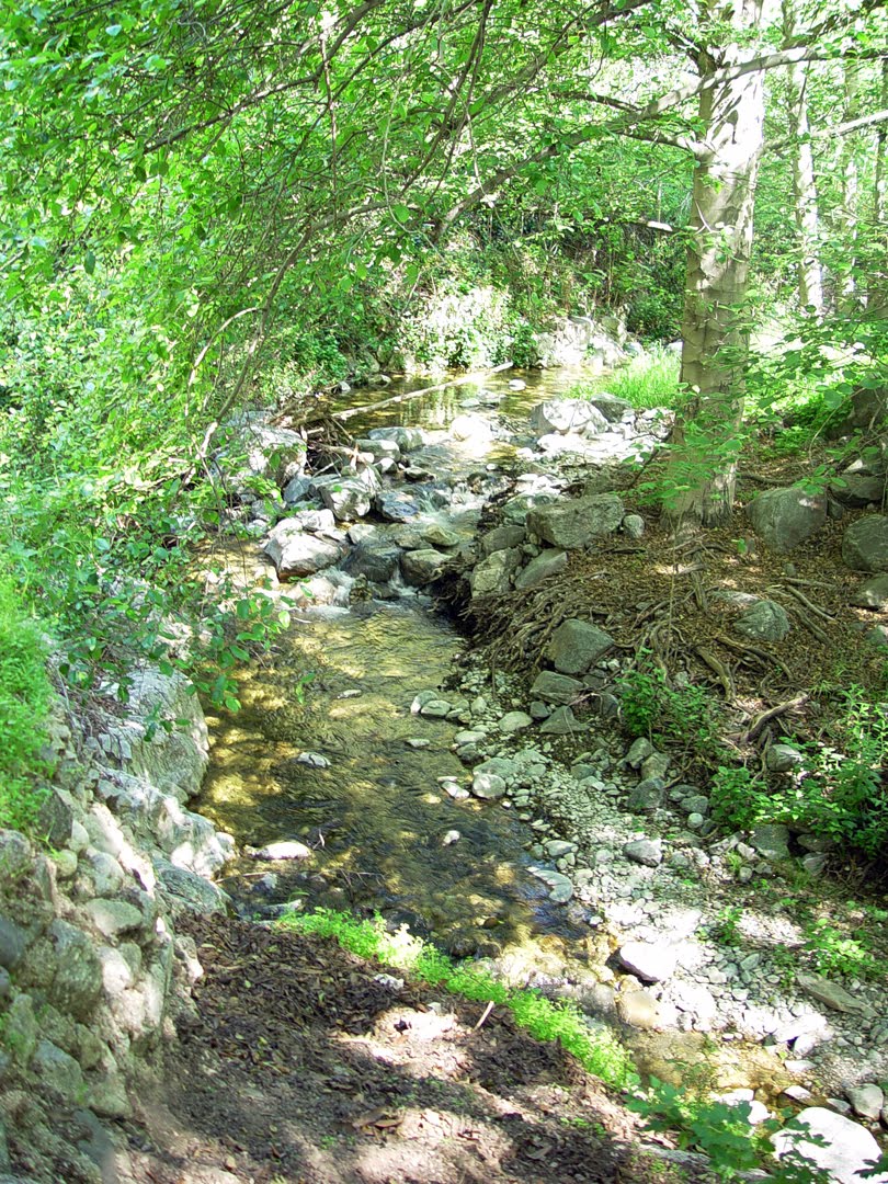 Trails of the Angeles: Fish Cyn - 80 Foot Waterfall - in Azusa