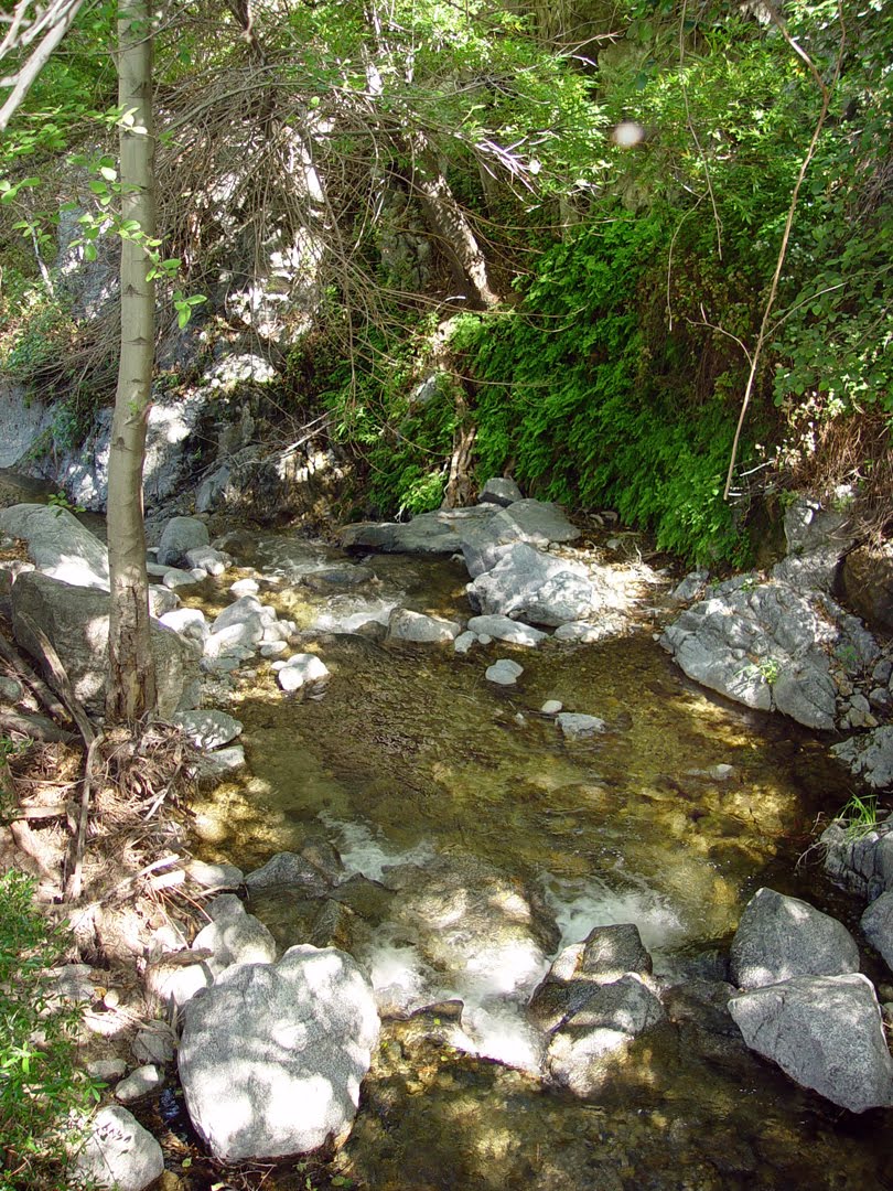 Trails of the Angeles: Fish Cyn - 80 Foot Waterfall - in Azusa