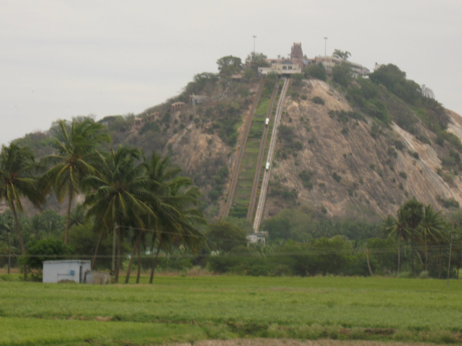 Divine Drops: Palani Malai