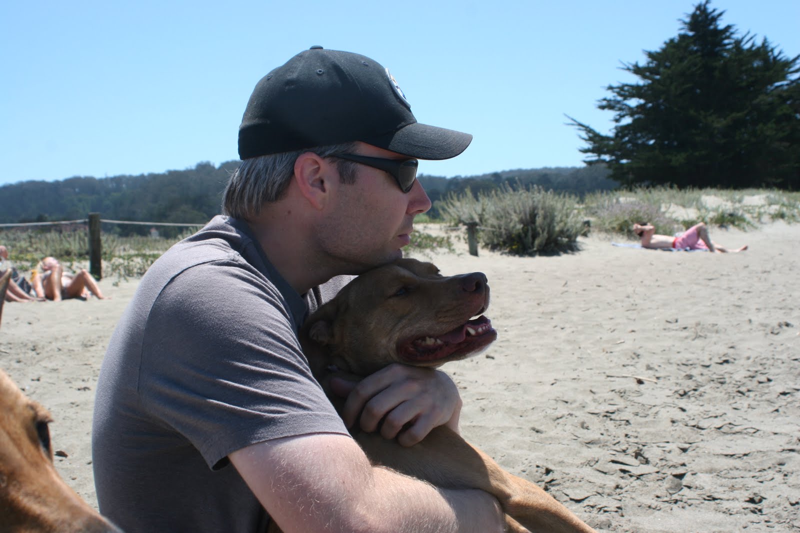 SAVE A SHELTER DOG: Bill Burr: Adopting a Pitbull