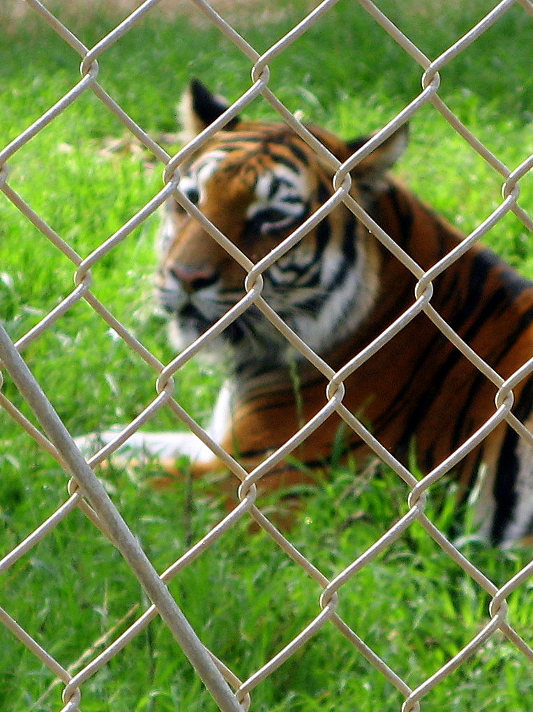 Mary's Ramblin's: PERFORMING ANIMAL WELFARE SANCTUARY