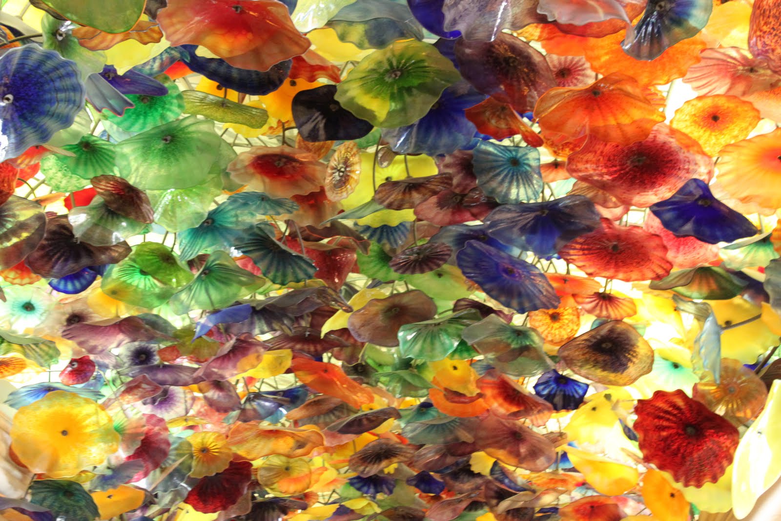 Whirled Traveler: Chihuly Glass