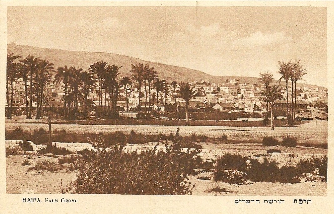 The Haifa History