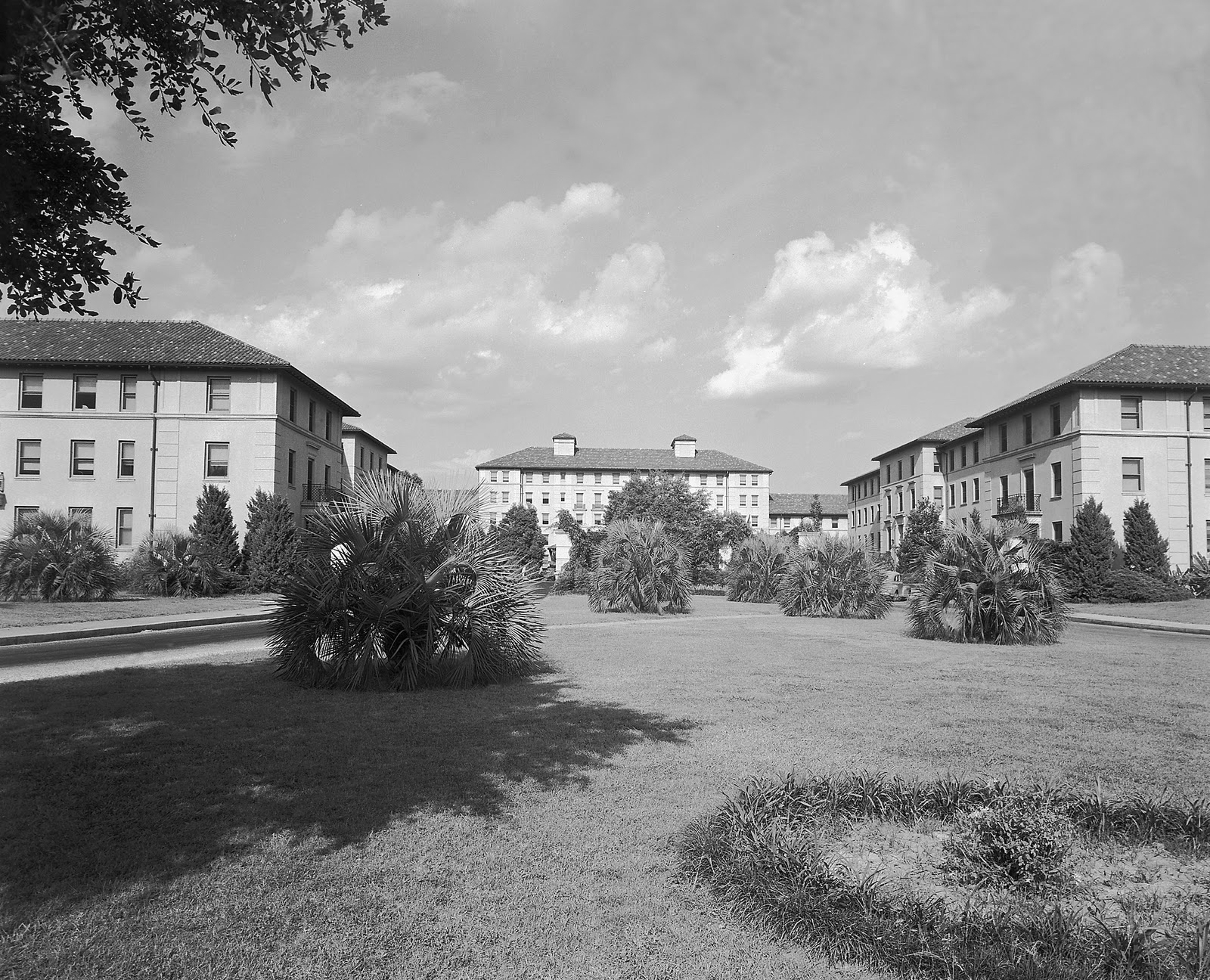 The Purple Polo: LSU Day: ResLife Past and Present