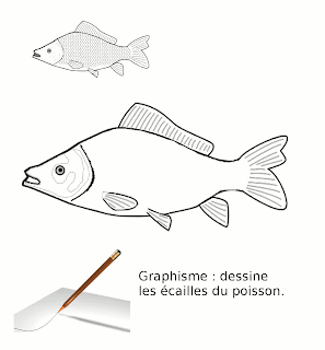Maternelle: Graphisme, poisson