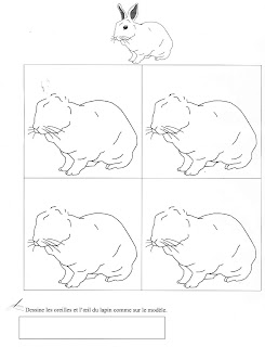 Maternelle: Graphisme : le lapin